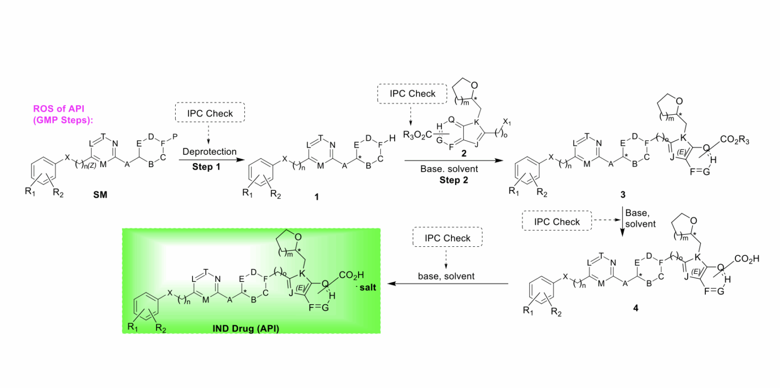 Small-Molecule IND Completion in 12 Months | Integrated CMC Case Study